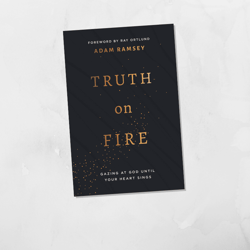{Book Review} Truth on Fire - Maturing Life in Christ